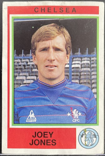Joey Jones - ewegottalove wales